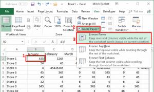 Microsoft Excel: Freeze or Unfreeze Panes, Columns, and Rows