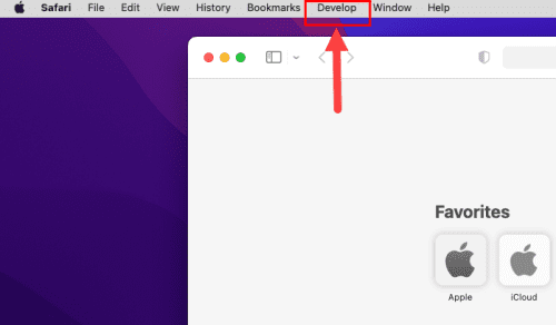 MacOS: Enable Web Inspector In Safari - Technipages