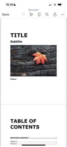 What is Microsoft Word? definition & meaning - Technipages