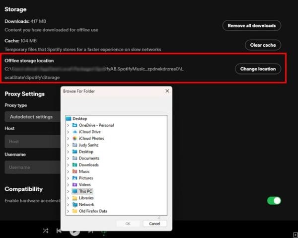 Check How Much Space Spotify Songs Are Taking Up - Technipages