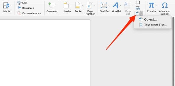 How to Add a PDF to Microsoft Word - Technipages