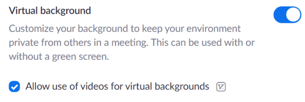 Troubleshooting Zoom Virtual Background Issues - Technipages