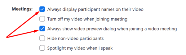 Best Zoom Settings for Teachers, Musicians and Video Recording ...