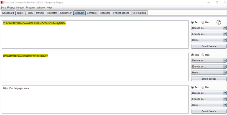 How to Use Burp Suite Decoder - Technipages