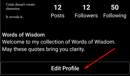 What Does Link in Bio Mean on Instagram and Facebook? - Technipages