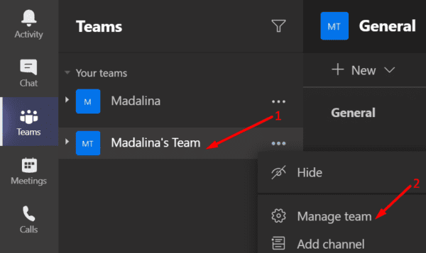 Microsoft Teams: How to Change the Team Image - Technipages