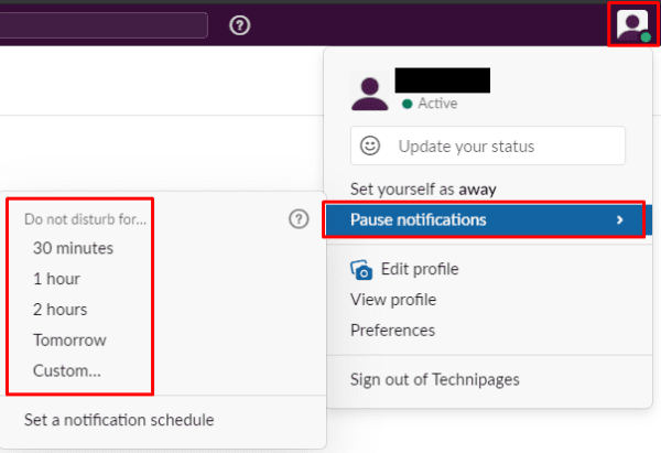 Slack desktop app not displaying notifications - pagts