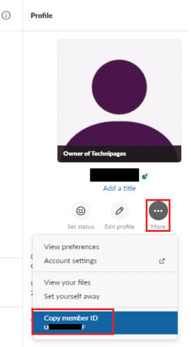 Slack: How To Find a Member’s ID - Technipages