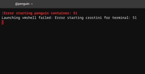 Fix Chromebook: Error Starting Penguin Container - Technipages