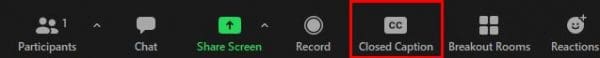 How to Enable and Manage Closed Captioning on Zoom - Technipages