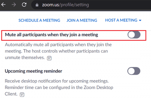 How to Automatically Mute Participants in Zoom - Technipages