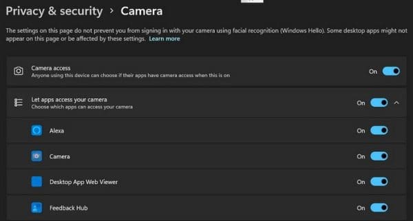 Windows 11: How to Customize the Webcam - Technipages