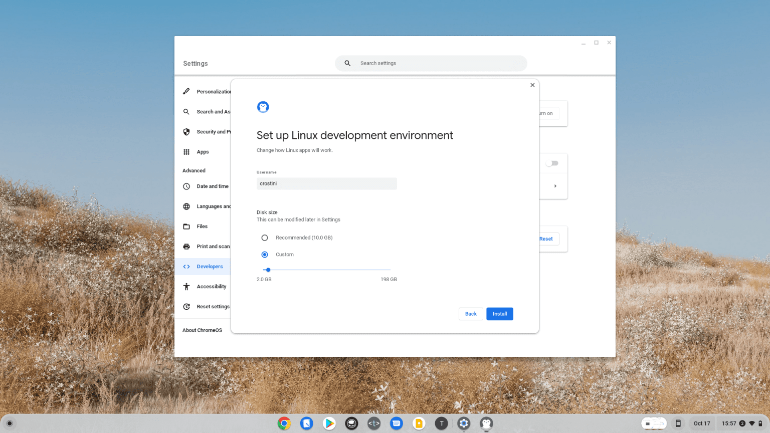 How to Set Up Linux on Chromebook - Technipages