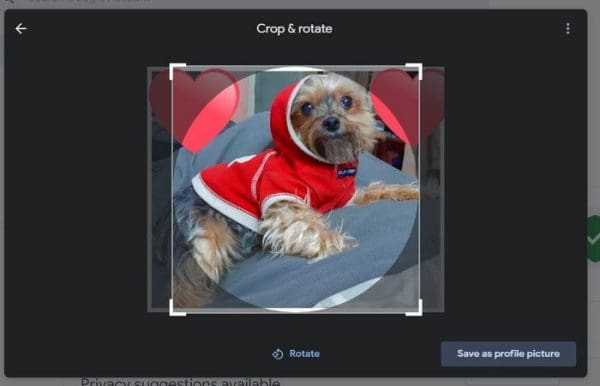 How to Change Your Google Profile Picture - Technipages