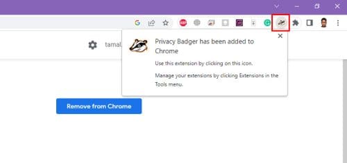 How to Use the Privacy Badger Chrome Extension - Technipages