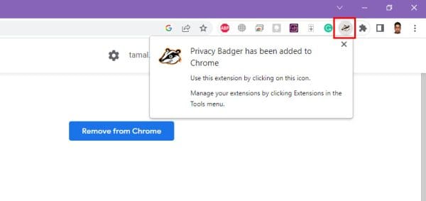 How to Use the Privacy Badger Chrome Extension - Technipages