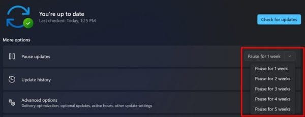 How to Stop Windows 11 Updates - Technipages