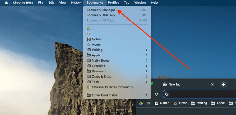 How to Export Chrome Bookmarks - Technipages