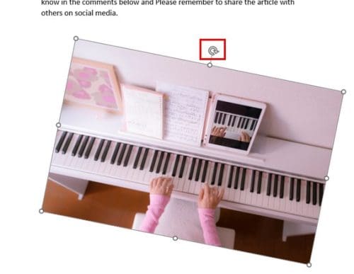 How to Flip an Image on Microsoft Word - Technipages