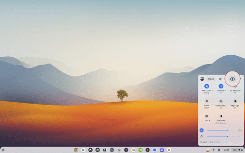 How to Use Auto Clicker for Chromebook - Technipages