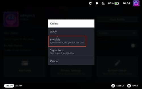 How to Show as Offline in Steam - Technipages