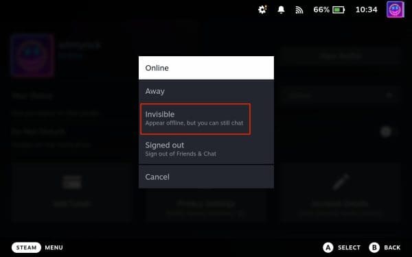 How to Show as Offline in Steam - Technipages