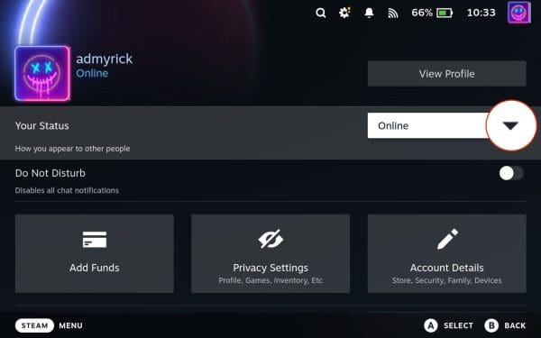 How to Show as Offline in Steam - Technipages