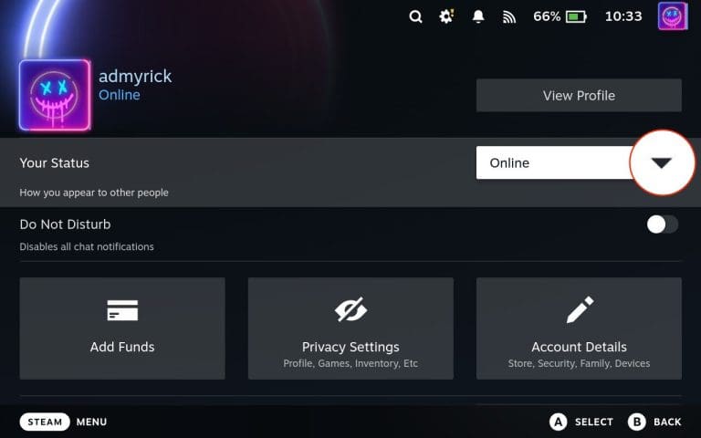 How to Show as Offline in Steam - Technipages
