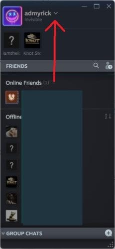 How to Show as Offline in Steam - Technipages