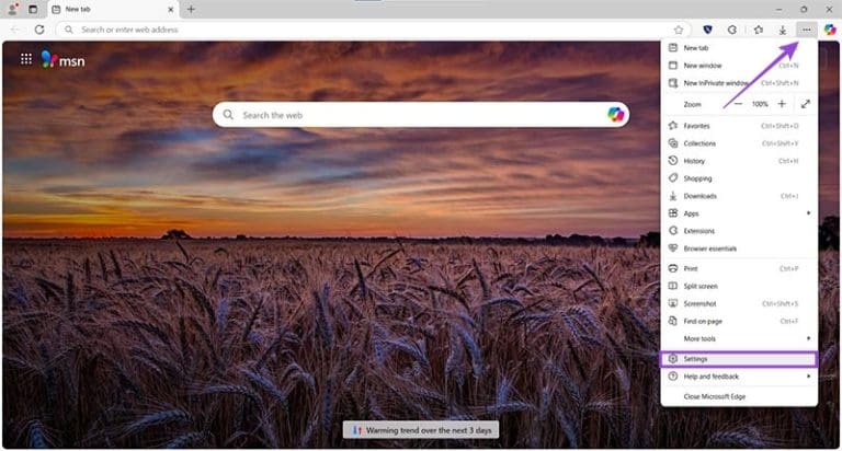 How to Change Security Settings in Microsoft Edge - Technipages