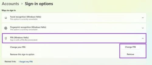 Steps to Disable and Enable PIN Codes in Windows 11 - Technipages