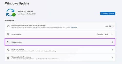 4 Fixes for a Corrupt Windows Update - Technipages